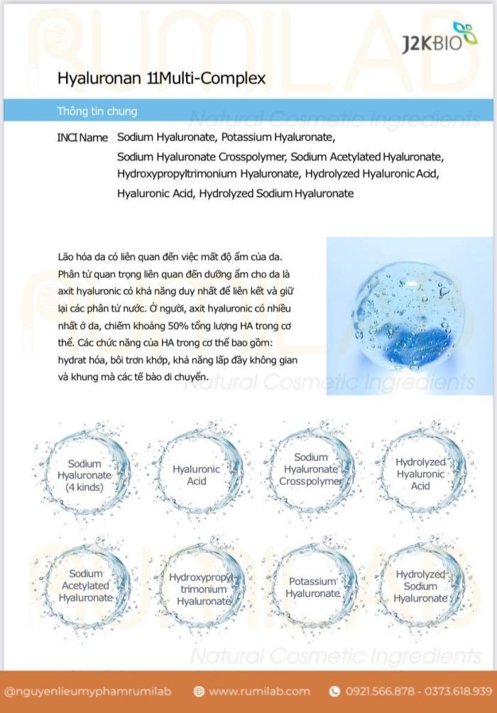 HYALURONAN 11 MULTI-COMPLEX | Rumilab