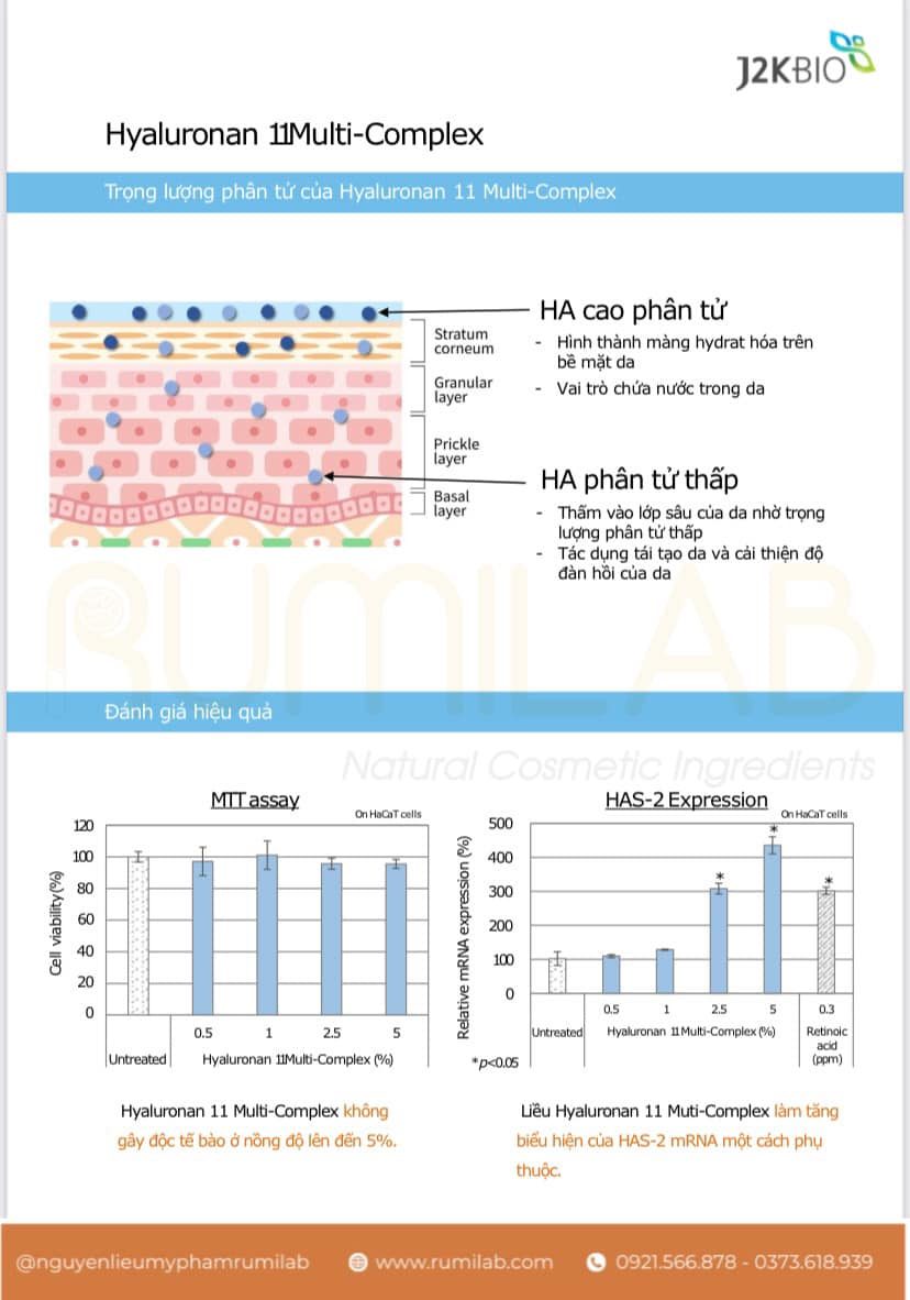 HYALURONAN 11 MULTI-COMPLEX | Rumilab